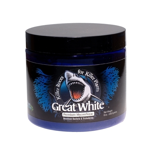 Plant Success - Great White - Mycorrhizal Fungi Root Growth 1, 4, 8, 32 ...