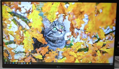 LG 27MS500-B 27” Display LCD Monitor - SCRATCHED | eBay