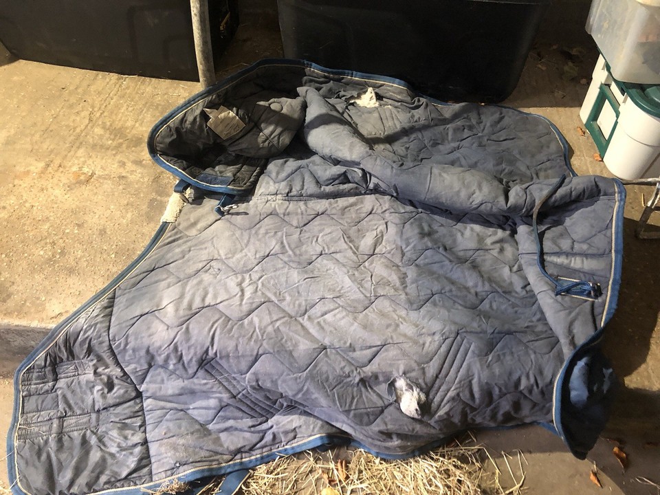 5ft9 Mark Todd Medium Weight Stable Rug | eBay UK