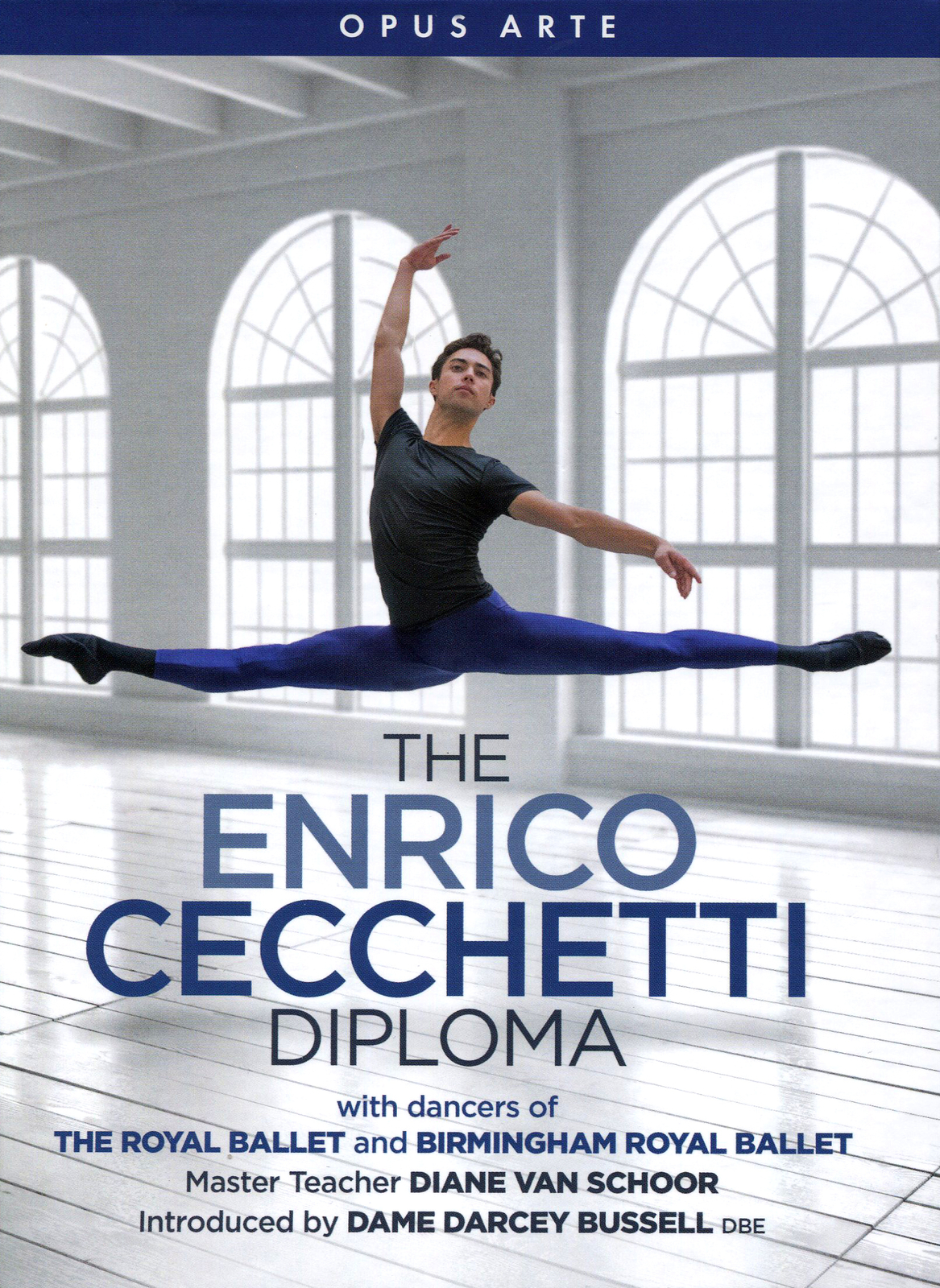 The Enrico Cecchetti Diploma (DVD, 2018) for sale online | eBay