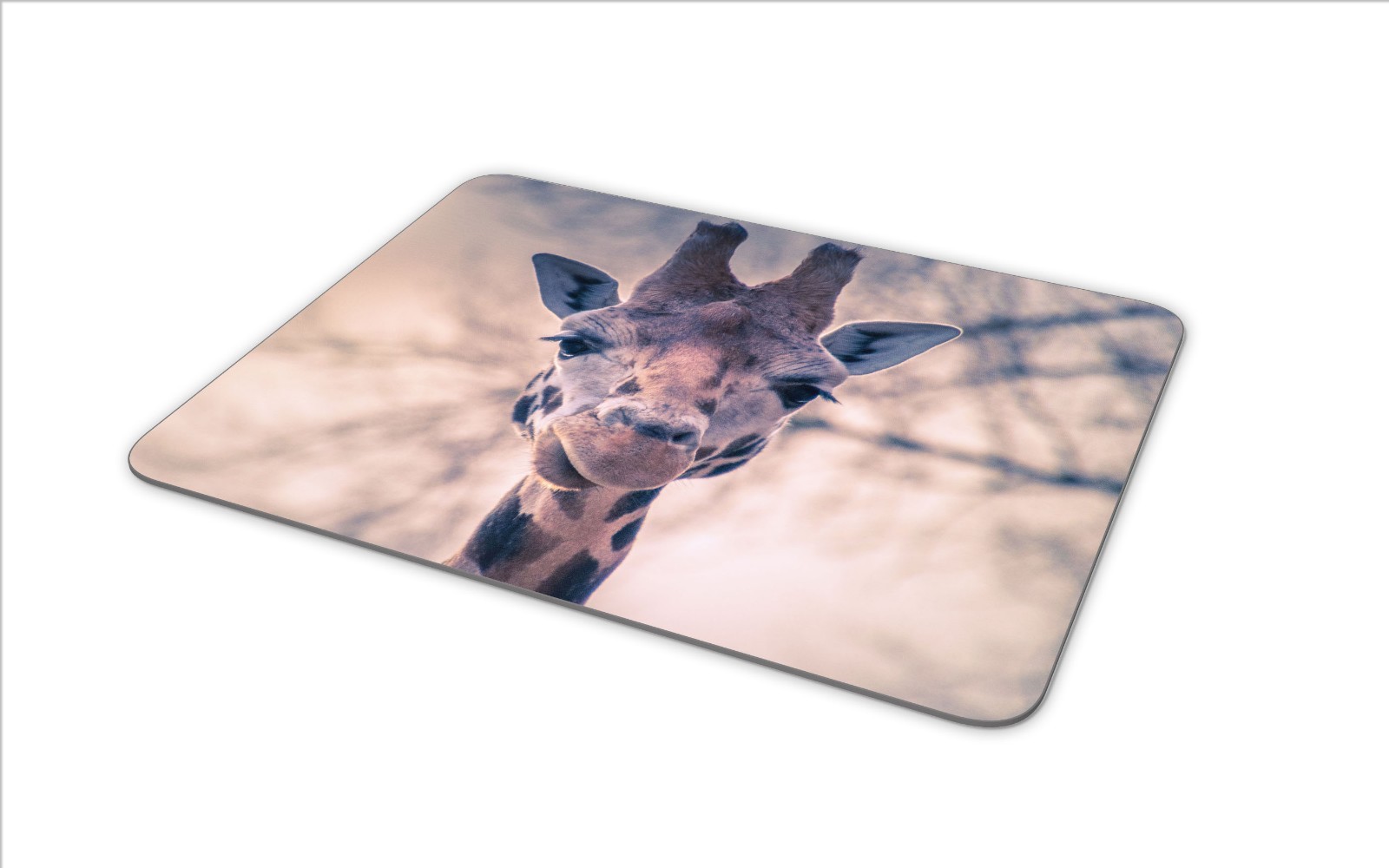 Beautiful Giraffe Mouse Mat Pad - Wild Animal Africa Safari Computer ...
