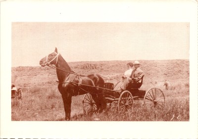 Eastern Washington, Joshua Elmer, George F. Beck Collection, Homestead ...