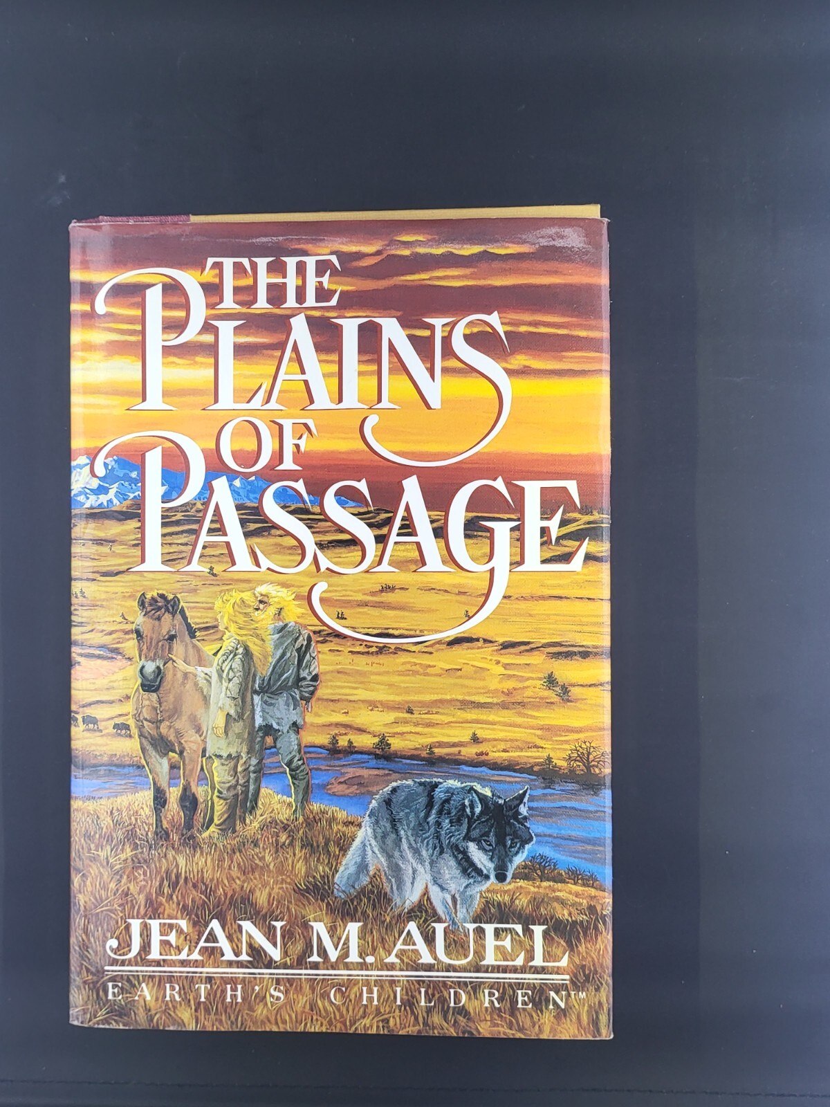 The Plains of Passage By Jean Auel 1st Printing First Edition 1990 ...