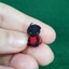 Custom extremely micro Ladybug. Dollhouse miniature. Doll pet ...