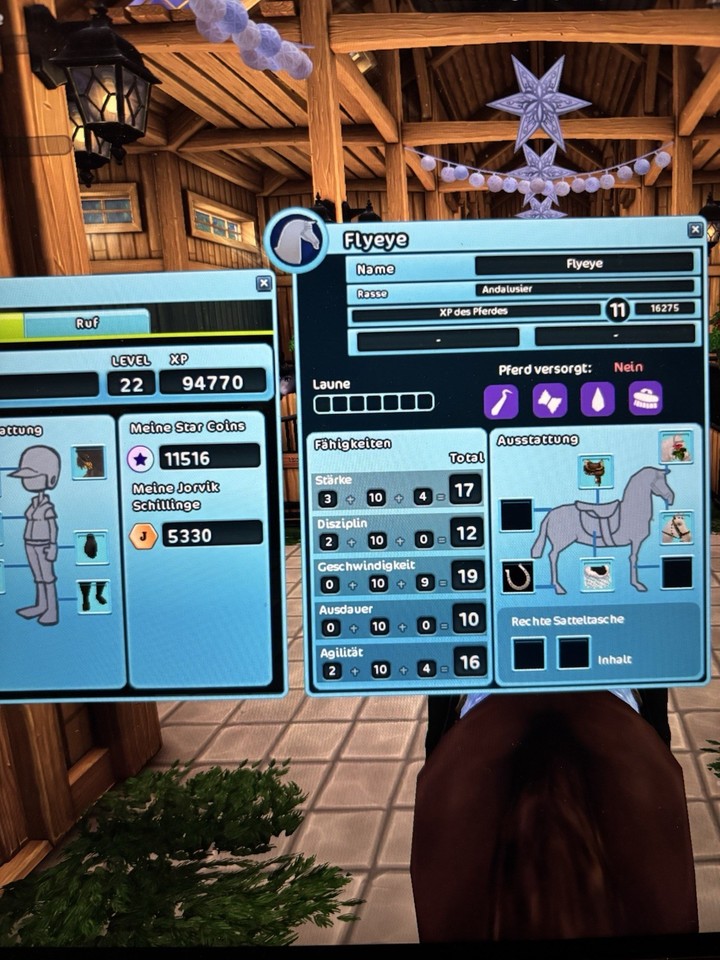 Star Stable Account/Lvl 22 / 11k Sc - 60€ | eBay.de