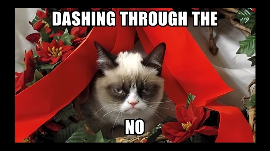 Grumpy Cat Dashing Through The No Sweater