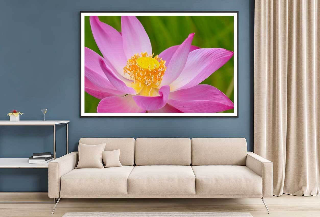 Lotus Flower Print Premium Poster High Quality choose sizes | eBay ...