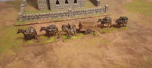 28mm Painted Baggage Train Ancient Napoleonic Medieval WW2 | eBay