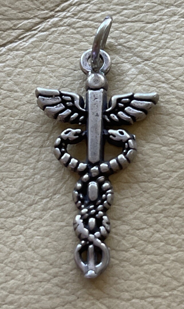 Sterling Silver 30x15mm Medical Caduceus Doctor 2 sna… - Gem