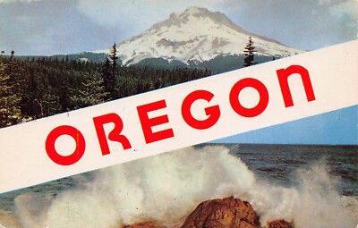 Oregon OR Greetings Large Letter P6241 Chrome Postcard | eBay