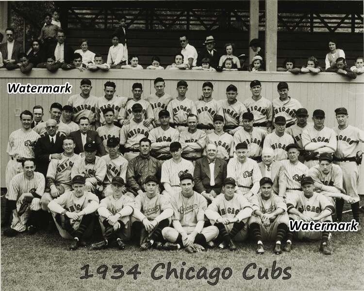 MLB 1934 Chicago Cubs Team Picture Black & White 8 X 10 Photo Picture ...