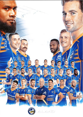 NRL RUGBY TEAM PLAYER POSTER, ROOSTERS,PANTHERS,STORM,EELS, RABBITOHS ...