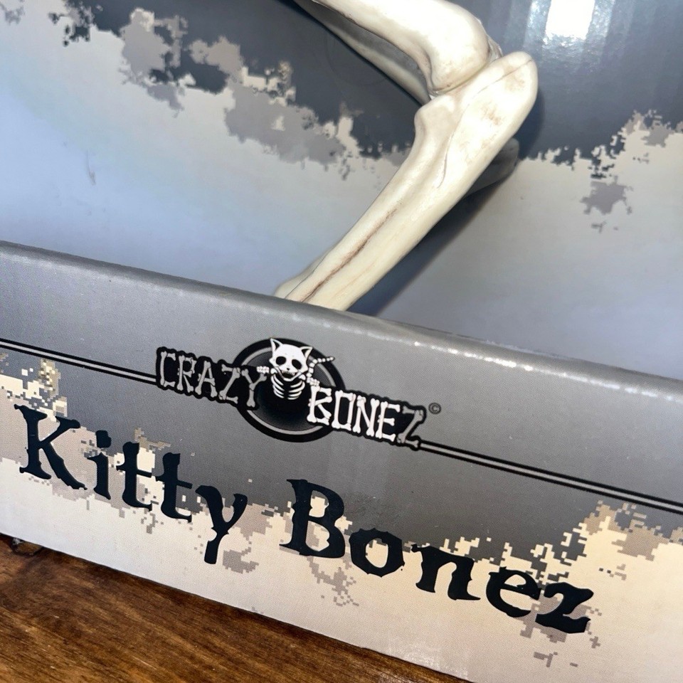 Crazy Bonez Kitty Bonez Cat Skeleton Halloween Decoration – Original Box | eBay