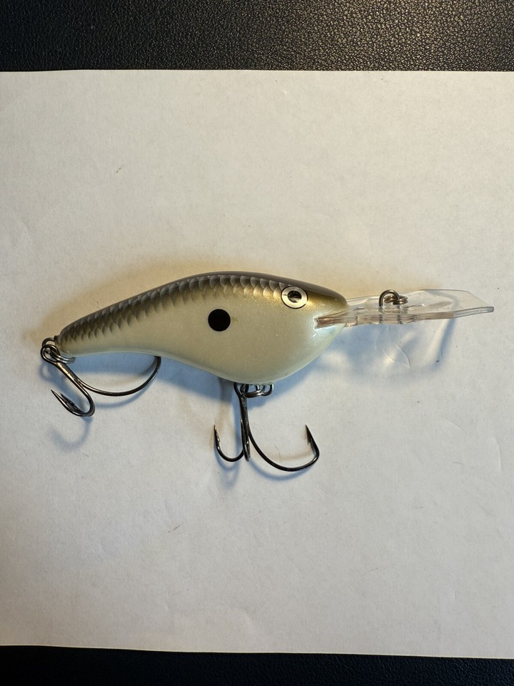 RAPALA DT-9 DT FLAT CRANKBAIT LURE IN Pearl Grey Shiner Discontinued | eBay