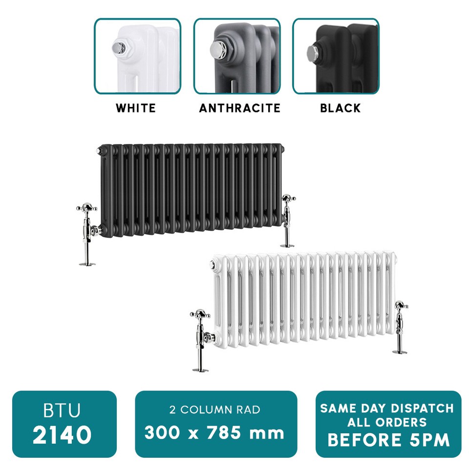 Anthracite White Black Traditional Cast Iron Style Radiator 2 3 4 ...