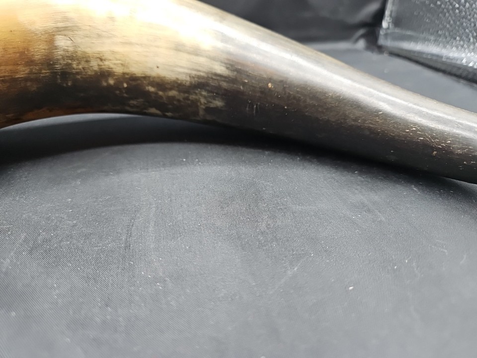 Antique Powder Horn With Applied Tip | eBay