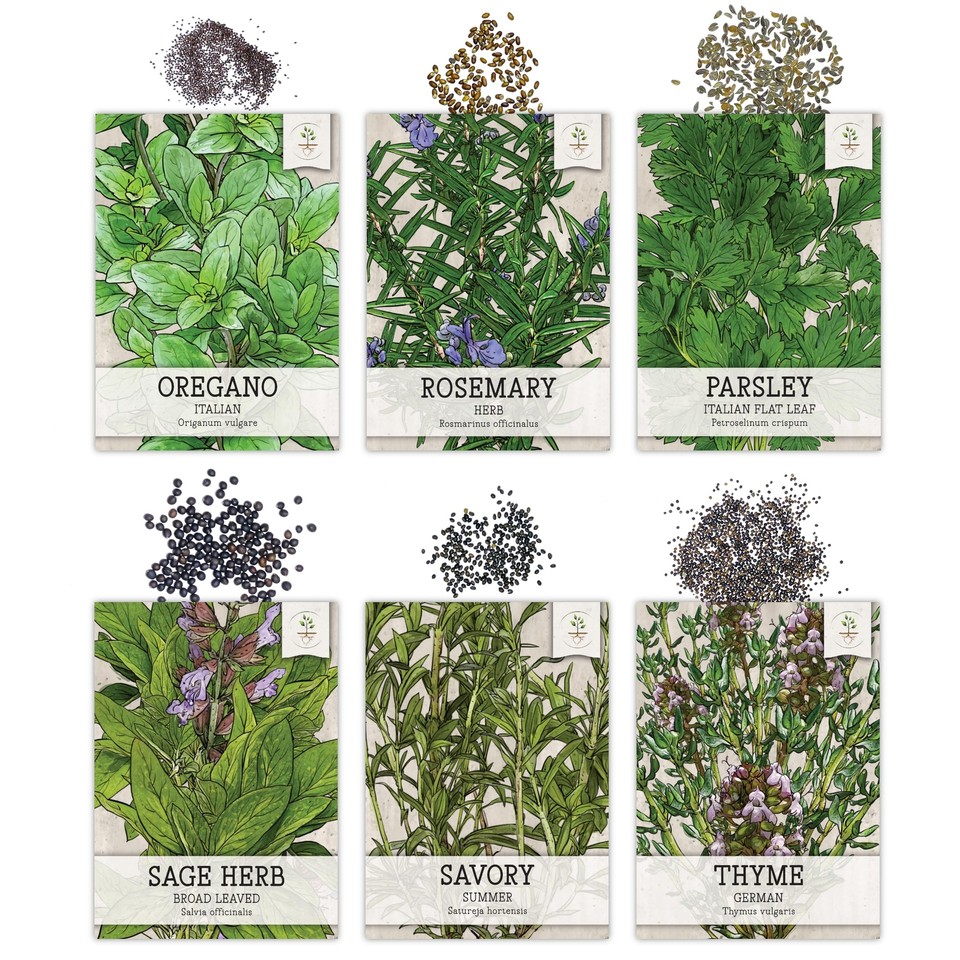 Needs, Herb Seeds Variety Pack Culinary Herb Collection (12 Individual ...