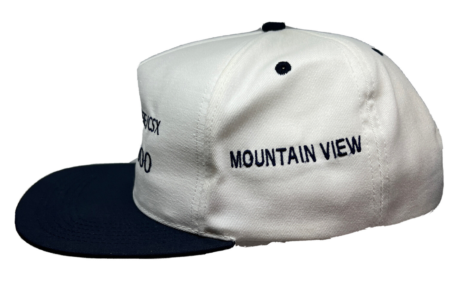 Vintage Chessie CSX 2000 Hat Cap Lake View Mountain View Train ...