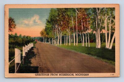 Muskegon Michigan Greetings Postcard L-20 Unposted | eBay