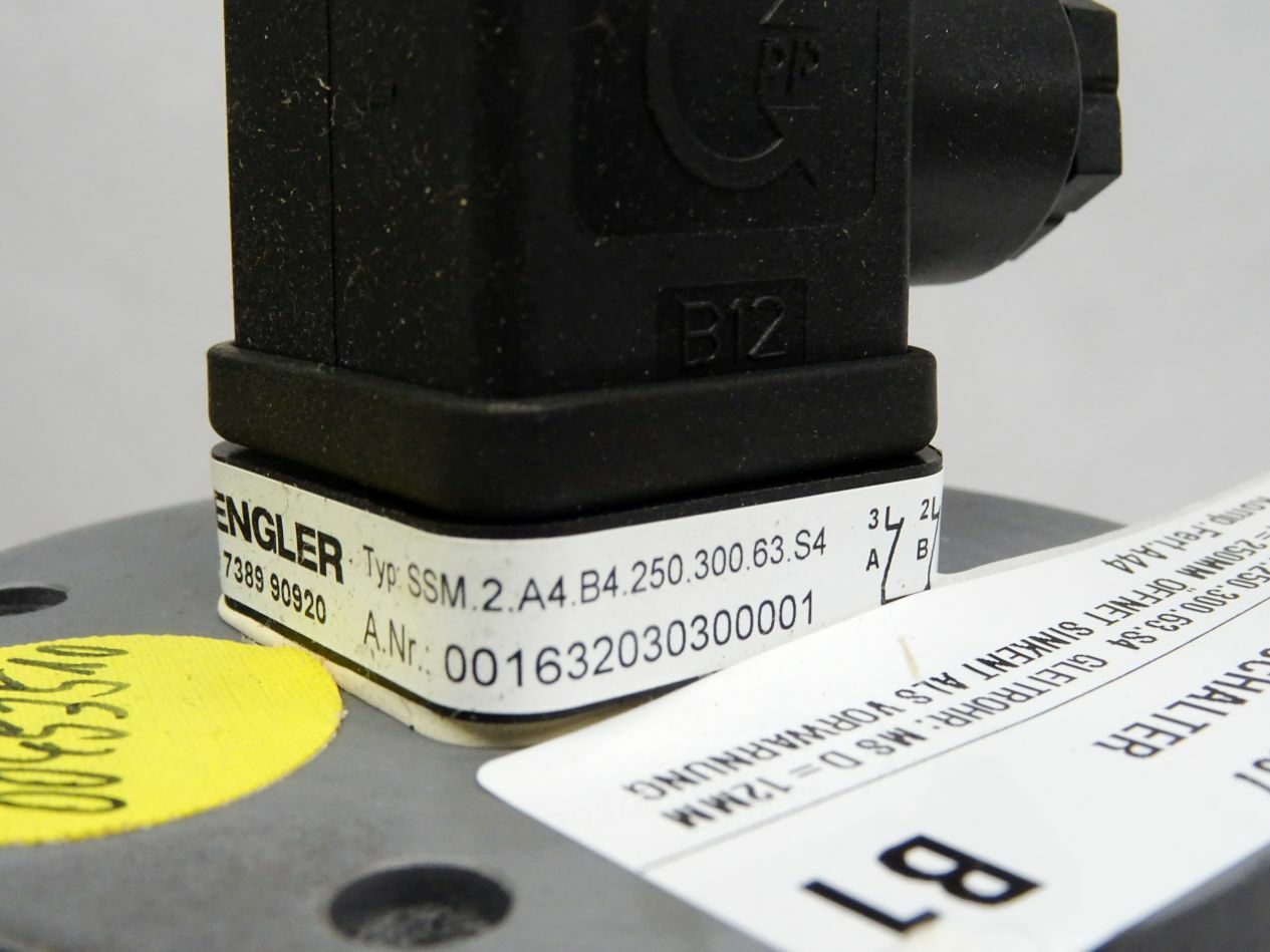 Engler Schwimmerschalter SSM.2.A4.B4.250.300.63.S4 / 001632030300001 | eBay