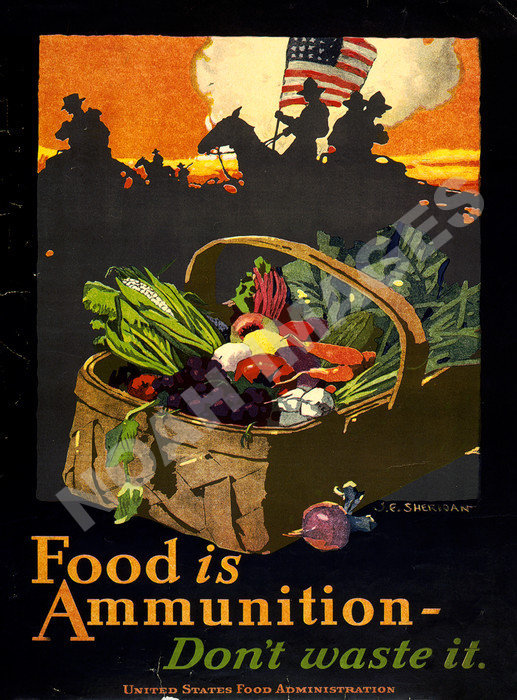 Food is Ammunition Dont Waste it vintage WW USDA poster repro 16x20 | eBay