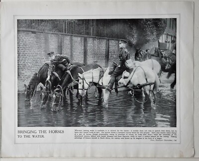 1915 WW1 PRINT & TEXT BRITISH CAVALRY HORSES DRINKING WATER | eBay