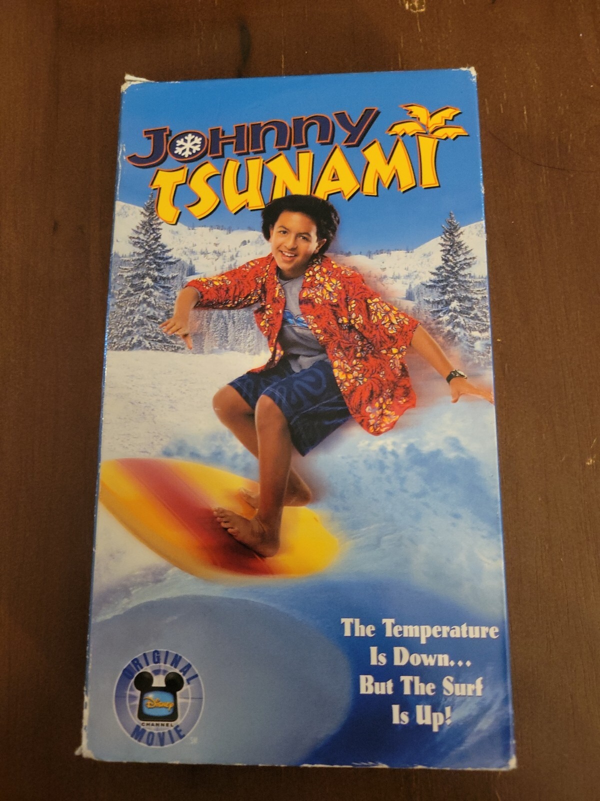 Johnny Tsunami 2
