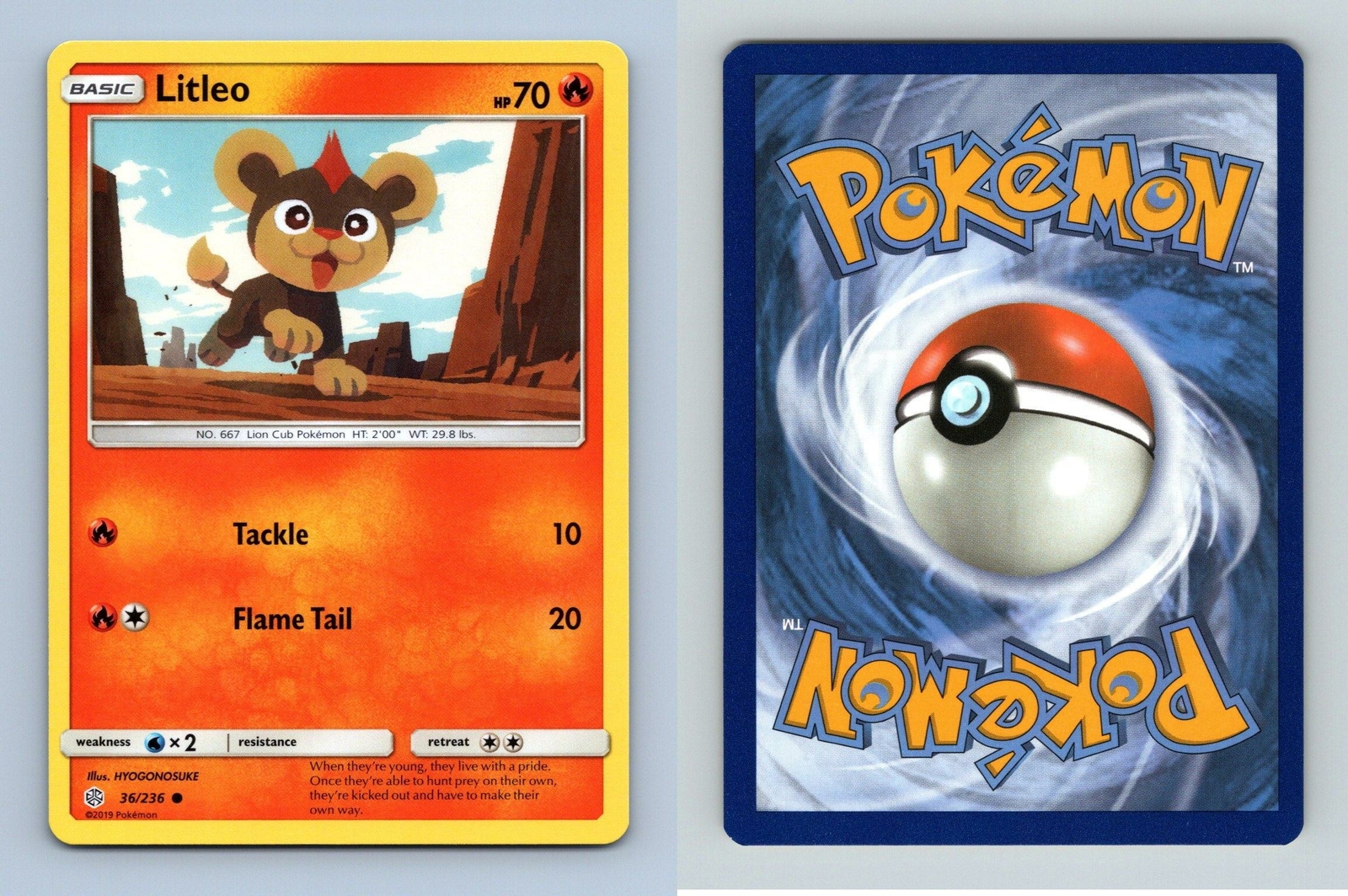 Litleo #36/236 Sun & Moon Cosmic Eclipse Common Pokemon 2019 TCG Card ...