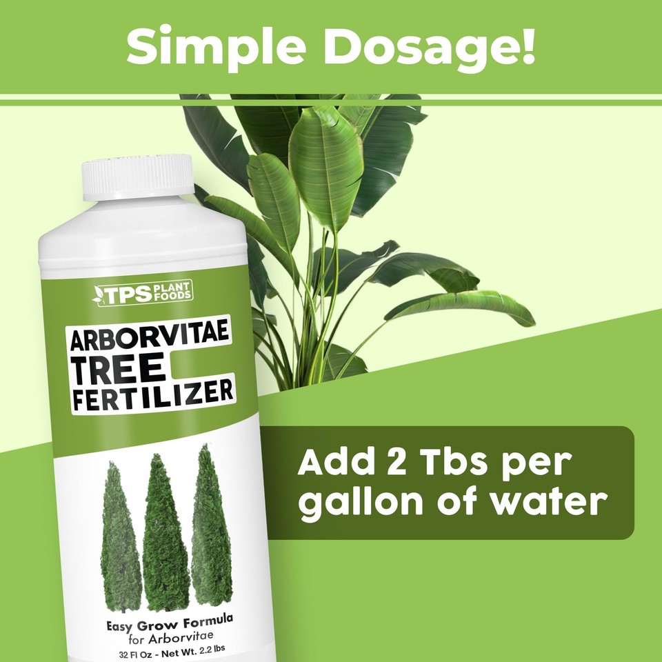 Arborvitae Tree Fertilizer for All Arborvitaes, Evergreen Shrubs and ...