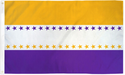 19th Amendment Flag 3x5ft Women's Rights Suffrage Suffragette ...