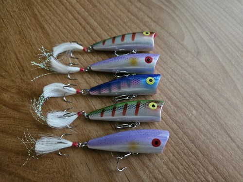 (5) Rebel Pop-R P60 Topwater Poppers, Lot of 5 Fishing Lures *Exclusive ...