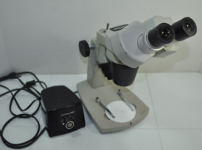 Microscopes - Stereomaster Microscope