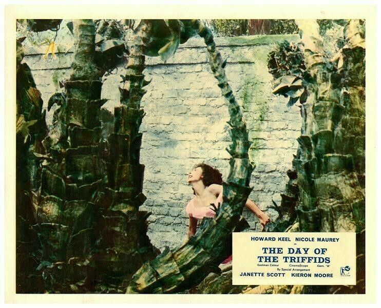 The Day of the Triffids Original Lobby Card Carole Ann Ford plant ...