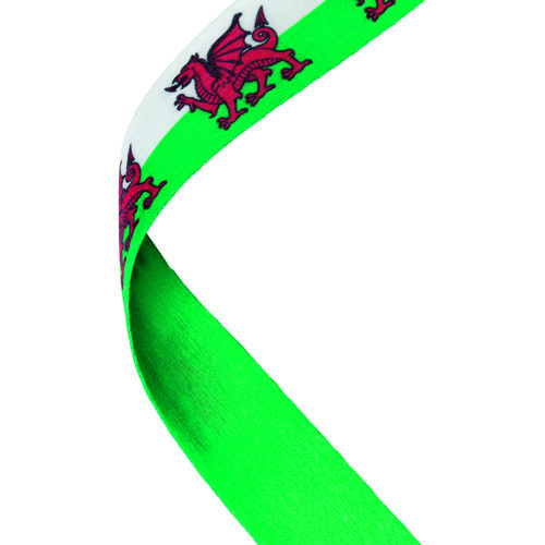 Loser Medal Rude Booby Prize Donkey Gold Award 50mm FREE ribbon ...