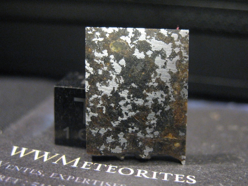 Meteorite NWA 15015 - MESOSIDERITE : Silicate 70 vol%) and Metal (30% ...