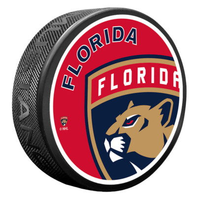 Florida Panthers Puck - Icon | eBay