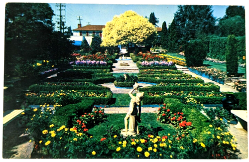 Postcard Chrome Portland Oregon Lambert Gardens Spanish Pool Ghost Tree ...