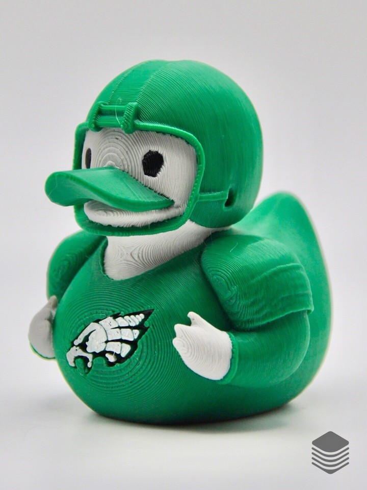 Philadelphia Eagles Duck | eBay