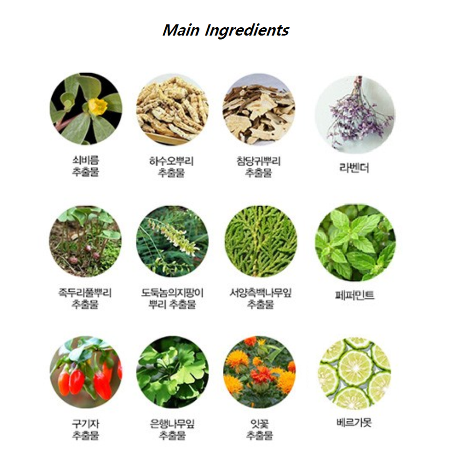 Dashu Daily Fast Scalp Shampoo 500ml + Protein Treatment 500ml Set ...