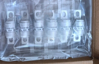 10PCS NEW FIT FOR fuse RS308-HB-2G40A 40A 170VDC 250VAC | eBay