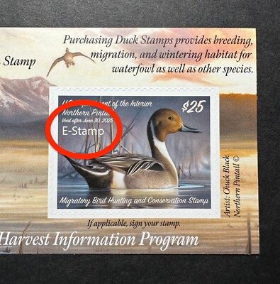 #RW91A / RW91B 2024 - Federal Duck Stamp --- "E-Stamp" Version --- No ...