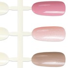 360pcs Natural Nail Tip Art Polish Display Color Chart Palettes for ...