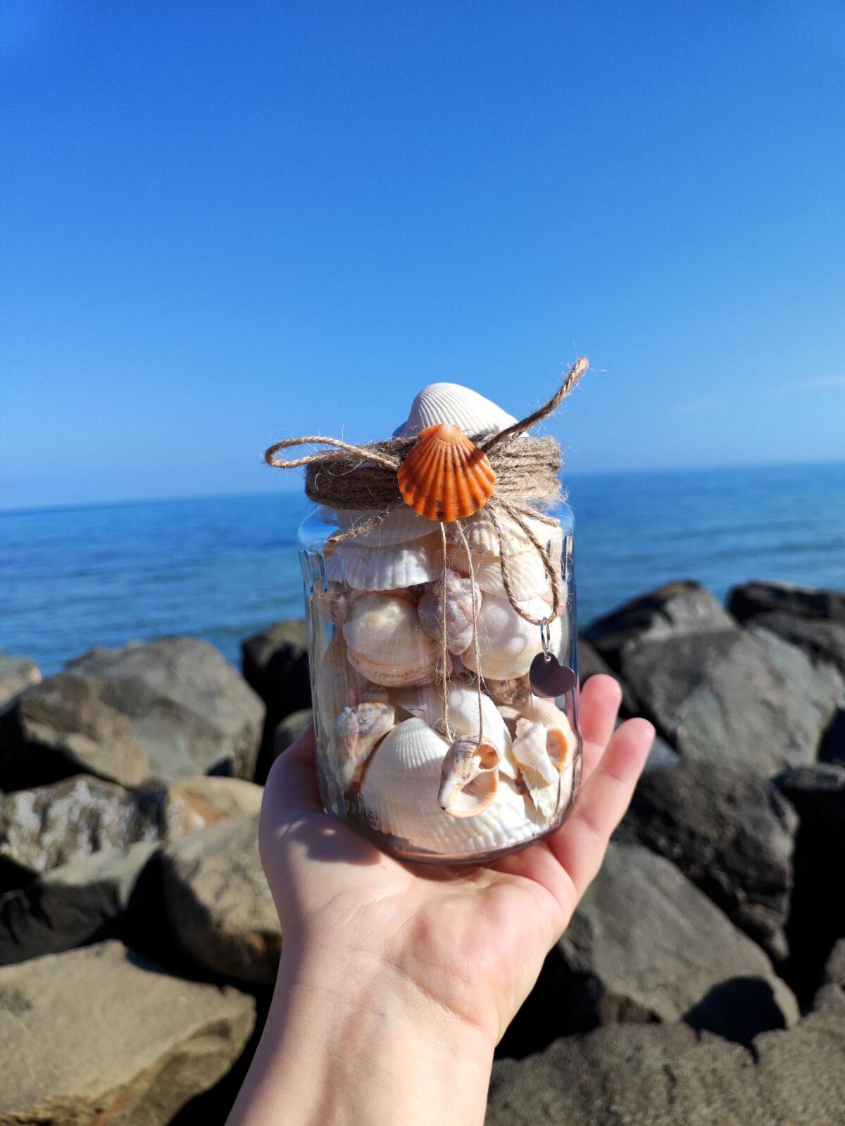 Seaside Charm: Handcrafted Seashell Jars for Coastal Living with Natural Shells | eBay