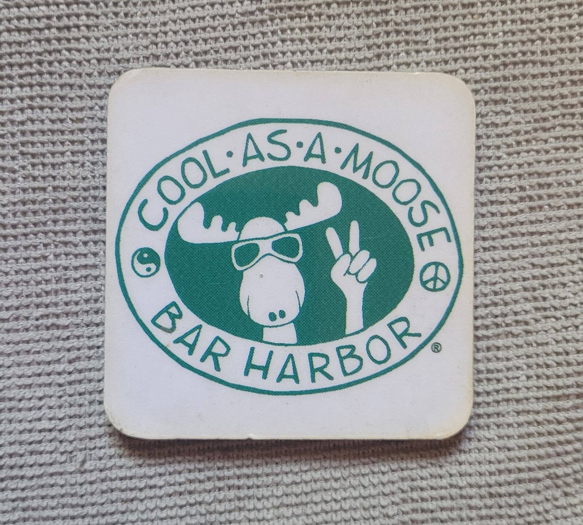 Cool As A Moose Logo Stay & Play Cool As A Moose T Shirt Color Light