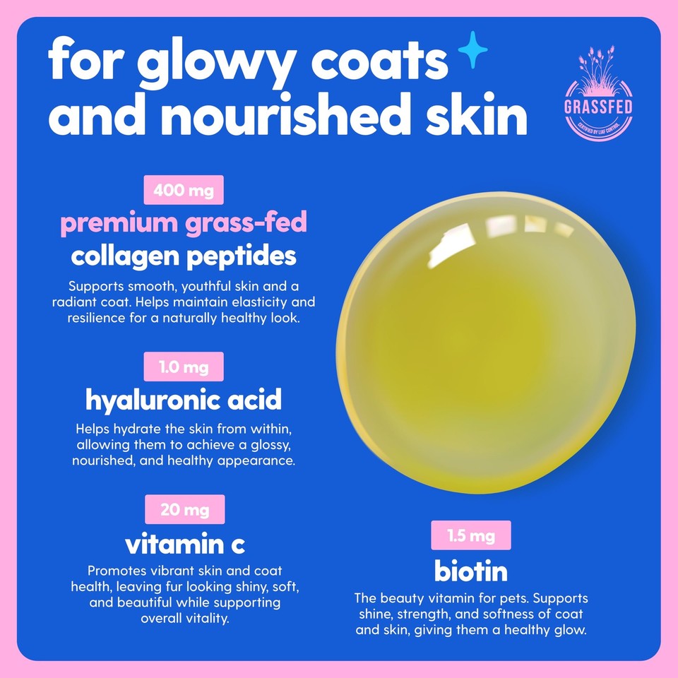Skin and Coat Supplement for Dogs, Cats | Taily Liquid Collagen for ...