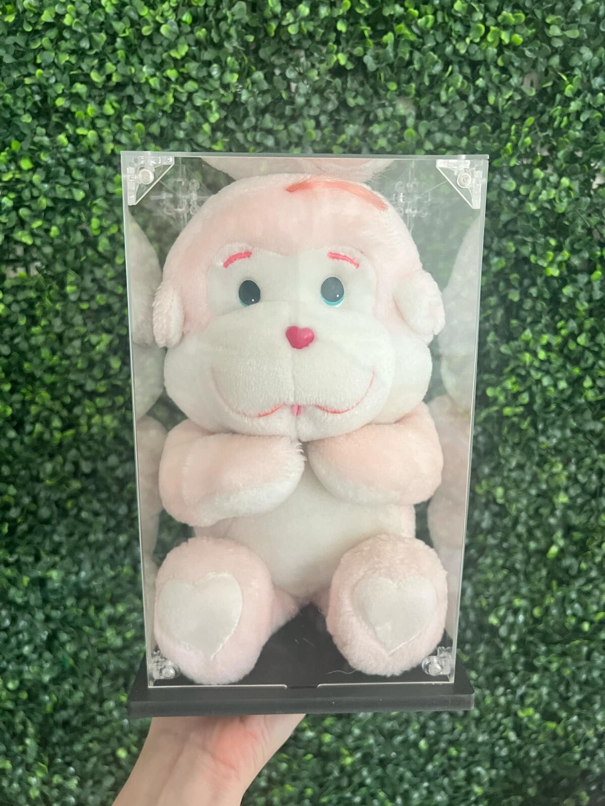 Vintage Extremely Rare PROTOTYPE 1983 13 inch Care Bear Cousin Pink ...