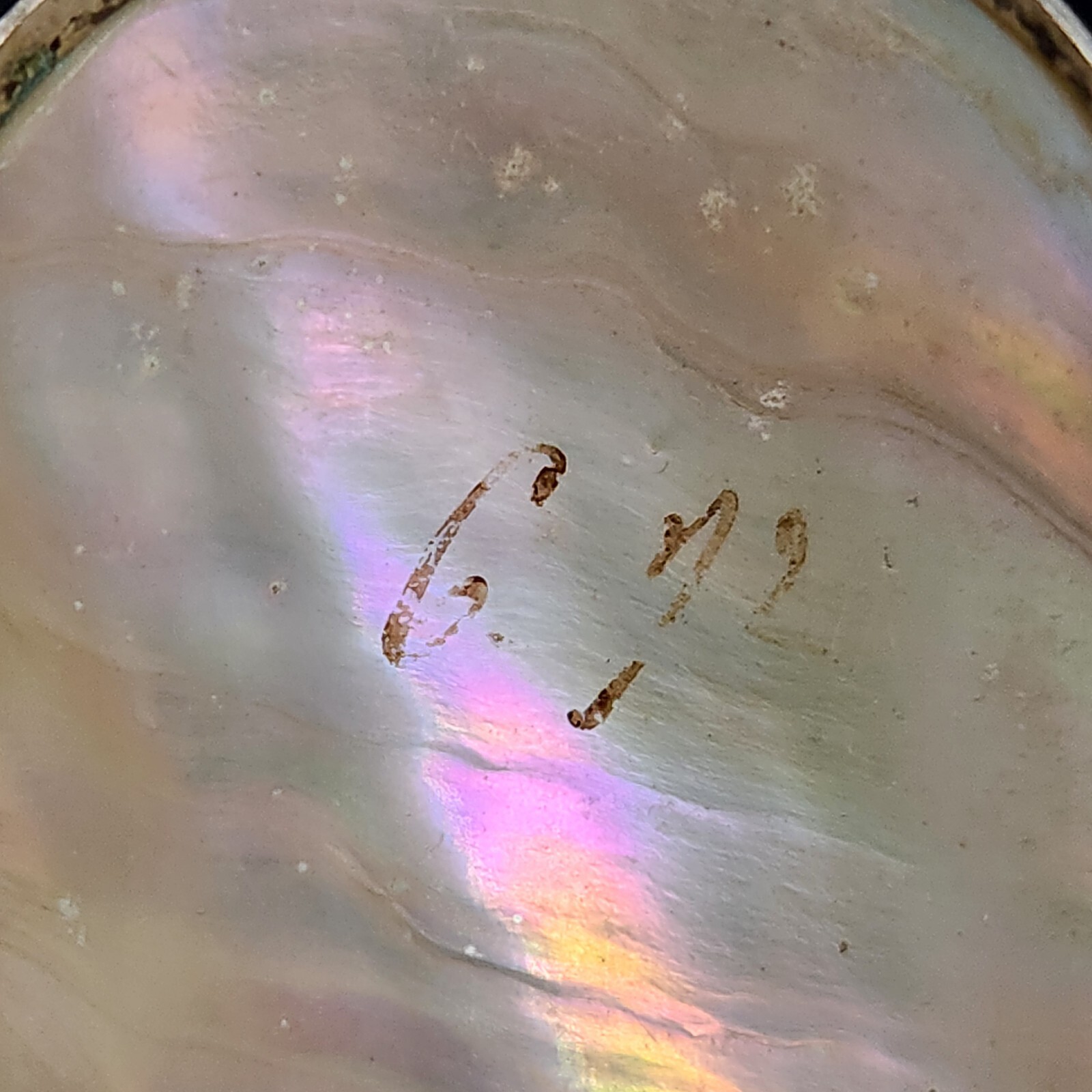 Antique Hand Made Mother of Pearl Shell Hinged 3"L Trinket Sewing Box ...