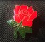 LANCASHIRE RED ROSE LABOUR PARTY ENAMEL PIN BADGE GIFT (PB17) BIGGER ...
