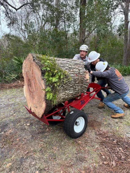 TNAttachments HD Log Dolly | eBay