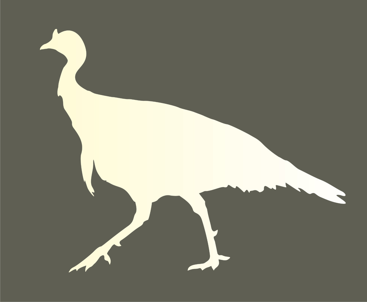 Wild Turkey Stencil